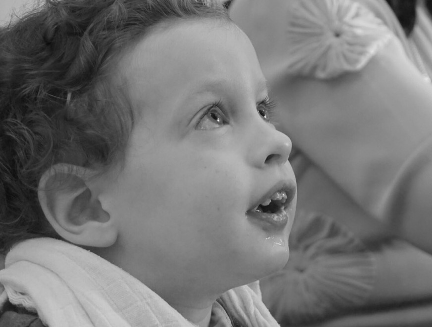 %d7%aa%d7%9e%d7%95%d7%a0%d7%94-%d7%9c%d7%98%d7%95%d7%a8-%d7%a4%d7%93%d7 ...